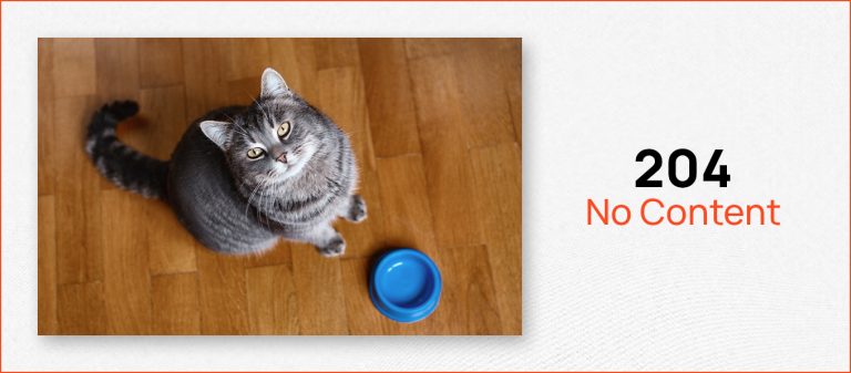 Understanding And Fixing HTTP 204 No Content